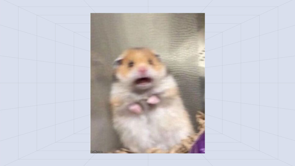 Scared Hamster - AI Memes Template