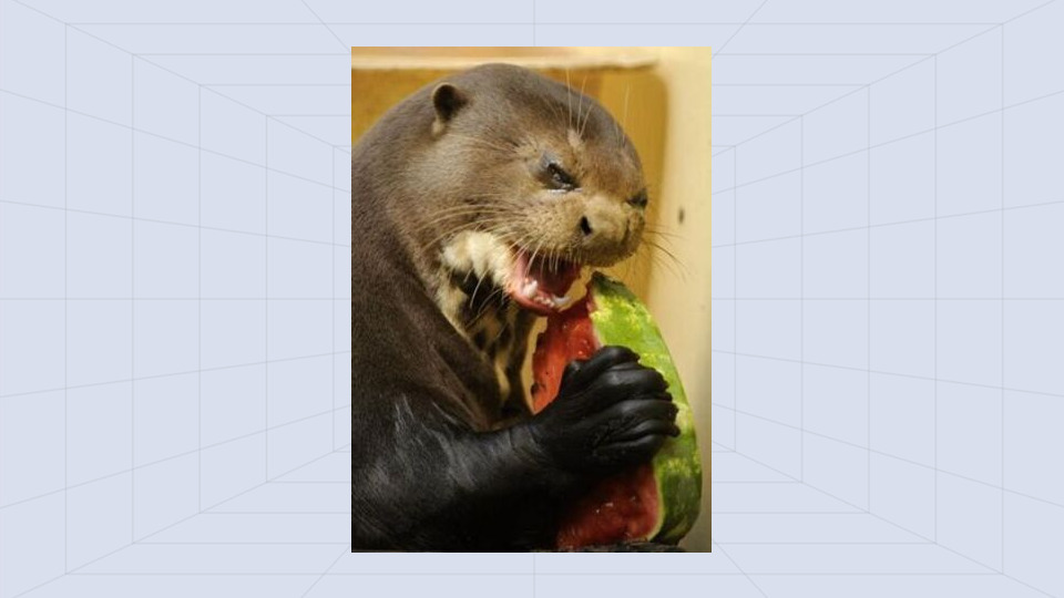 Self Loathing Otter - AI Memes Template