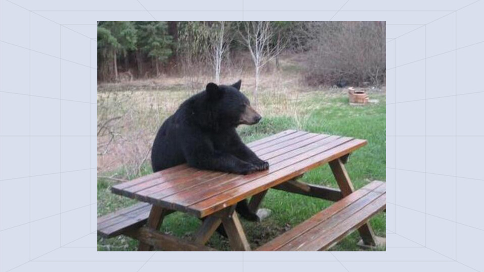 Bear At Picnic Table Thinking - AI Memes Template