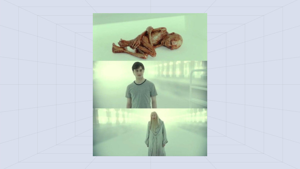 Dead Baby Voldemort / What Happened To Him - AI Memes Template