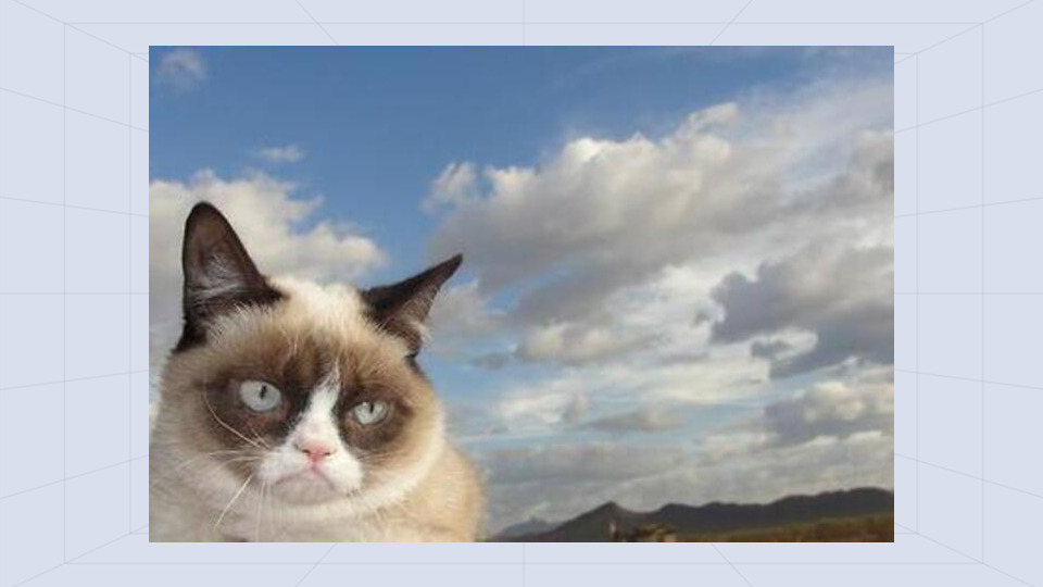 Grumpy Cat - AI Memes Template