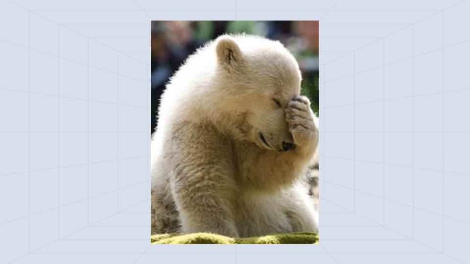 Facepalm Bear - AI Memes Template