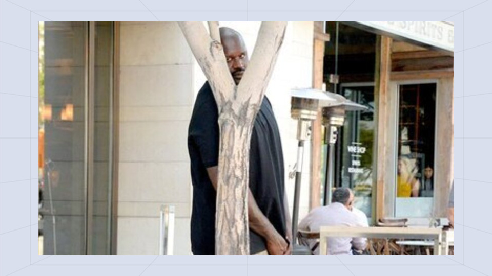 Shaq Hiding Behind Tree - AI Memes Template