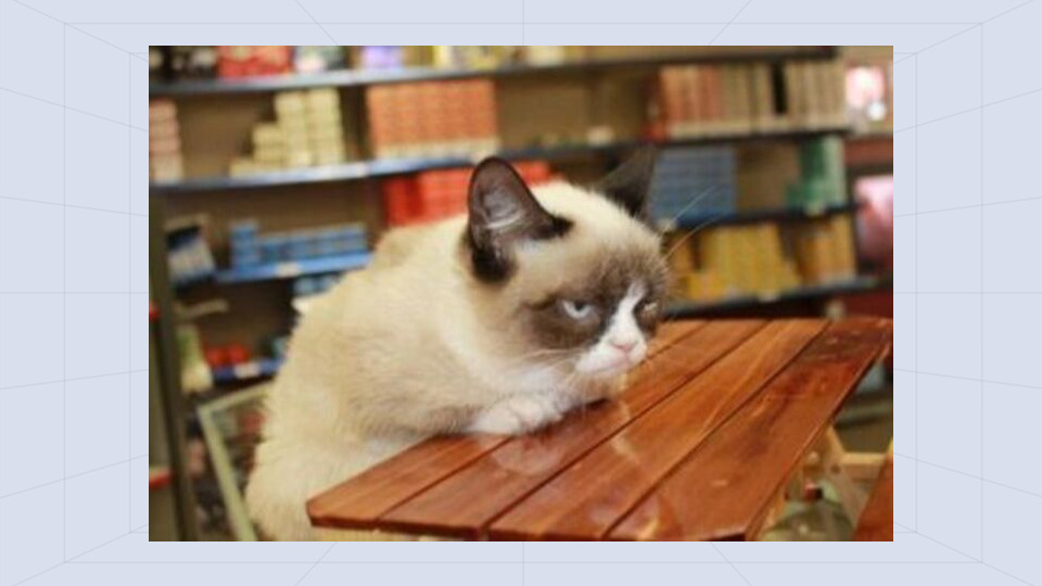 Grumpy Cat - AI Memes Template