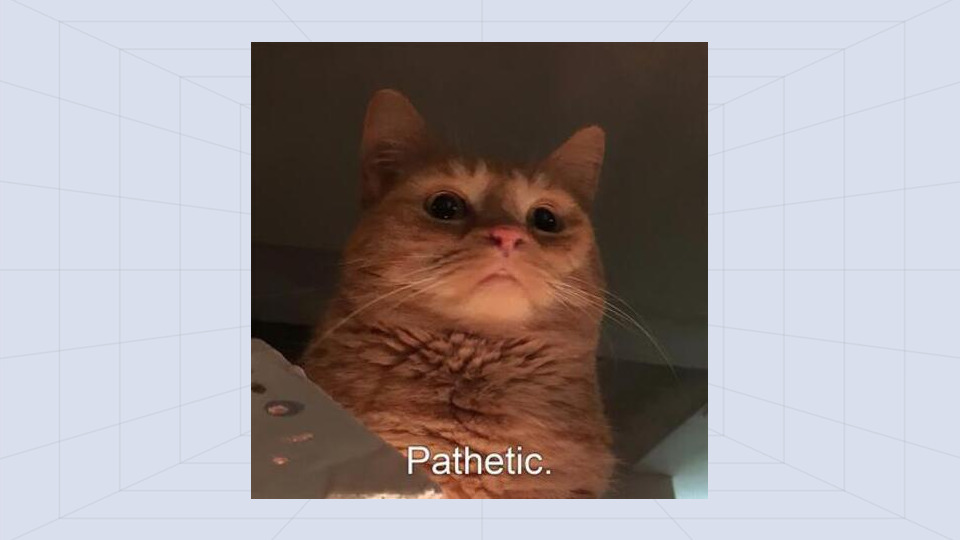 Pathetic Cat - AI Memes Template