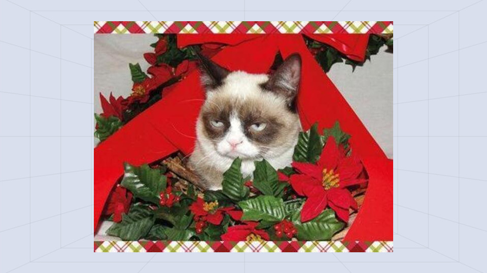 Grumpy Cat - AI Memes Template