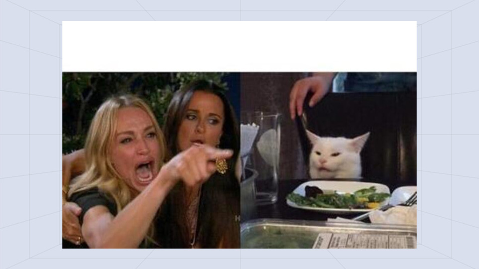 Emotional woman yelling at cat - AI Memes Template