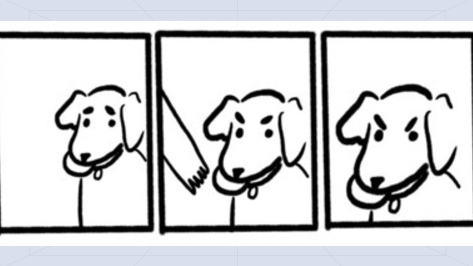 No Take, Only Throw - AI Memes Template