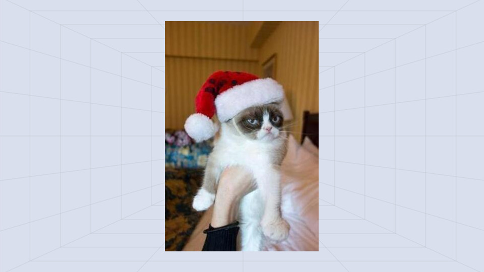 Grumpy Cat - AI Memes Template