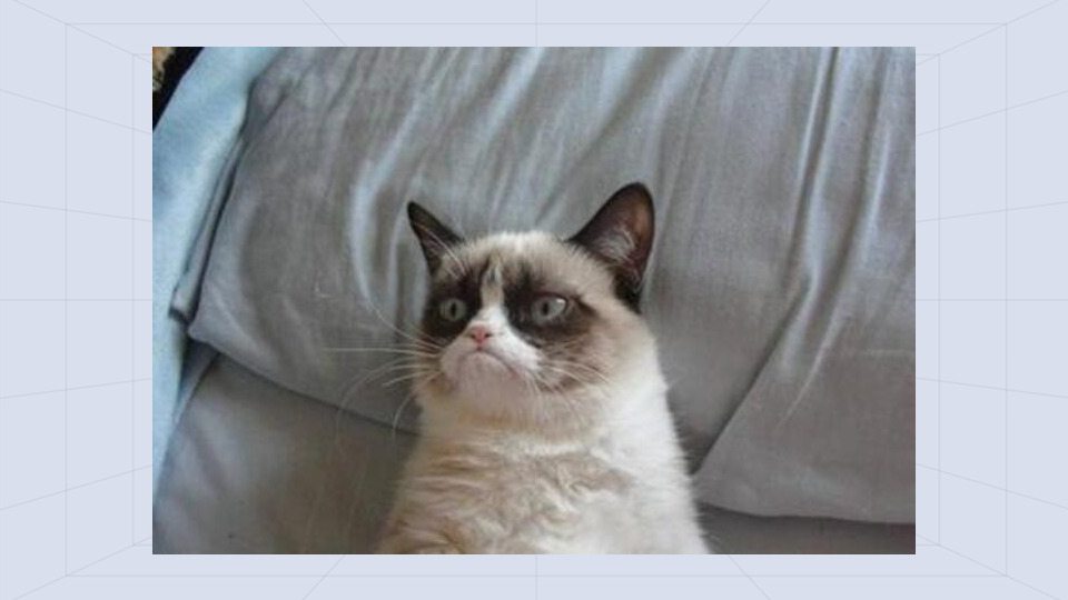 Grumpy Cat - AI Memes Template