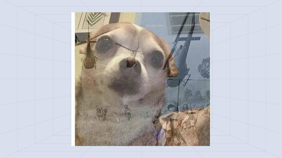 PTSD Chihuahua - AI Memes Template