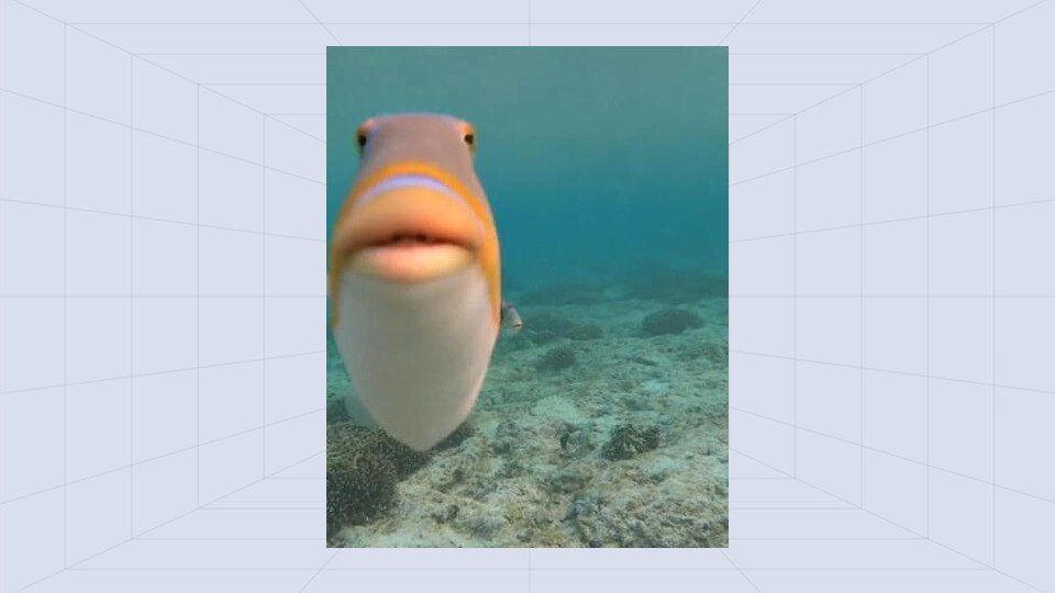 staring fish - AI Memes Template